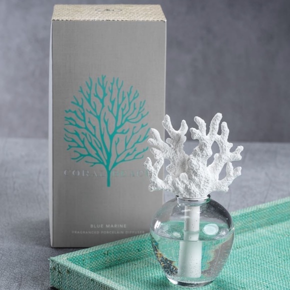 Zodax | Accents | Zodax Coral Beach Blue Marine Frangranced Porcelain ...